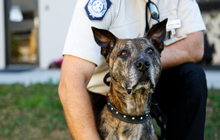 RSPCA Wildlife Centre | Wacol | Brisbane | RSPCA Queensland